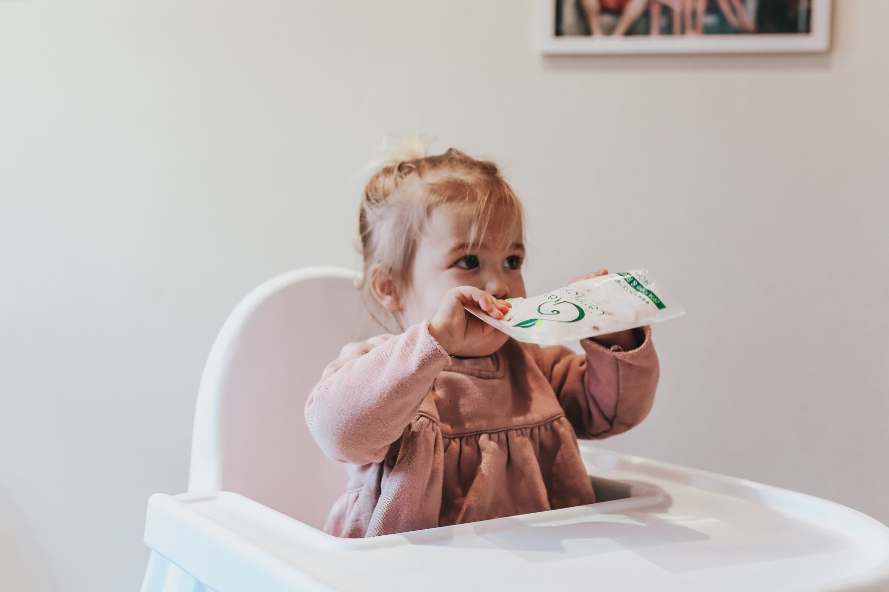 Kai Carriers Reusable Food Storage Packs. Recyclable, BPA, PVC Free